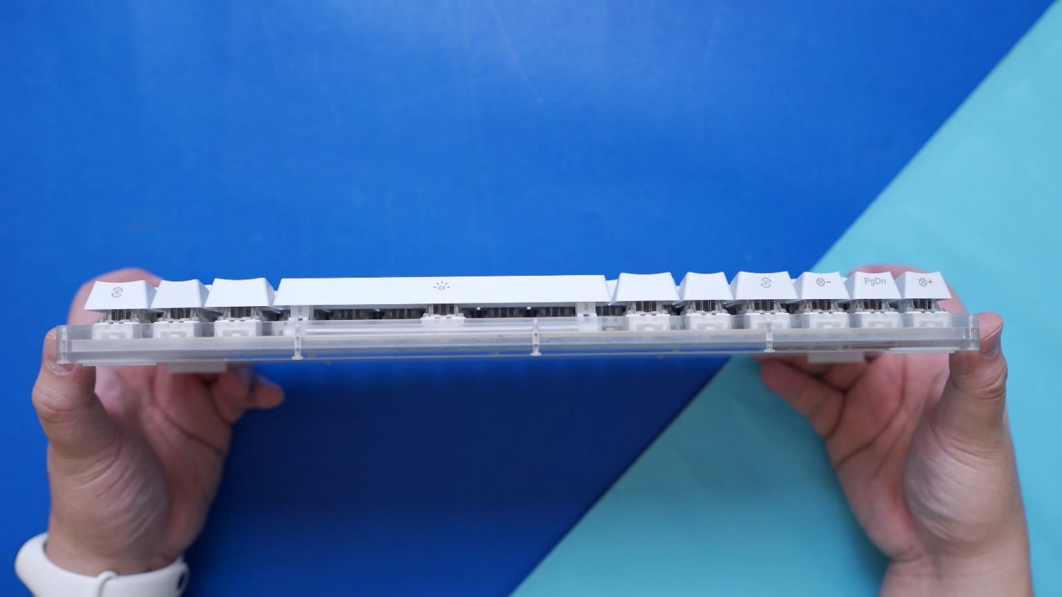 Ultimate RGB Mechanical Keyboard! - Womier K66 Review - TechBroll